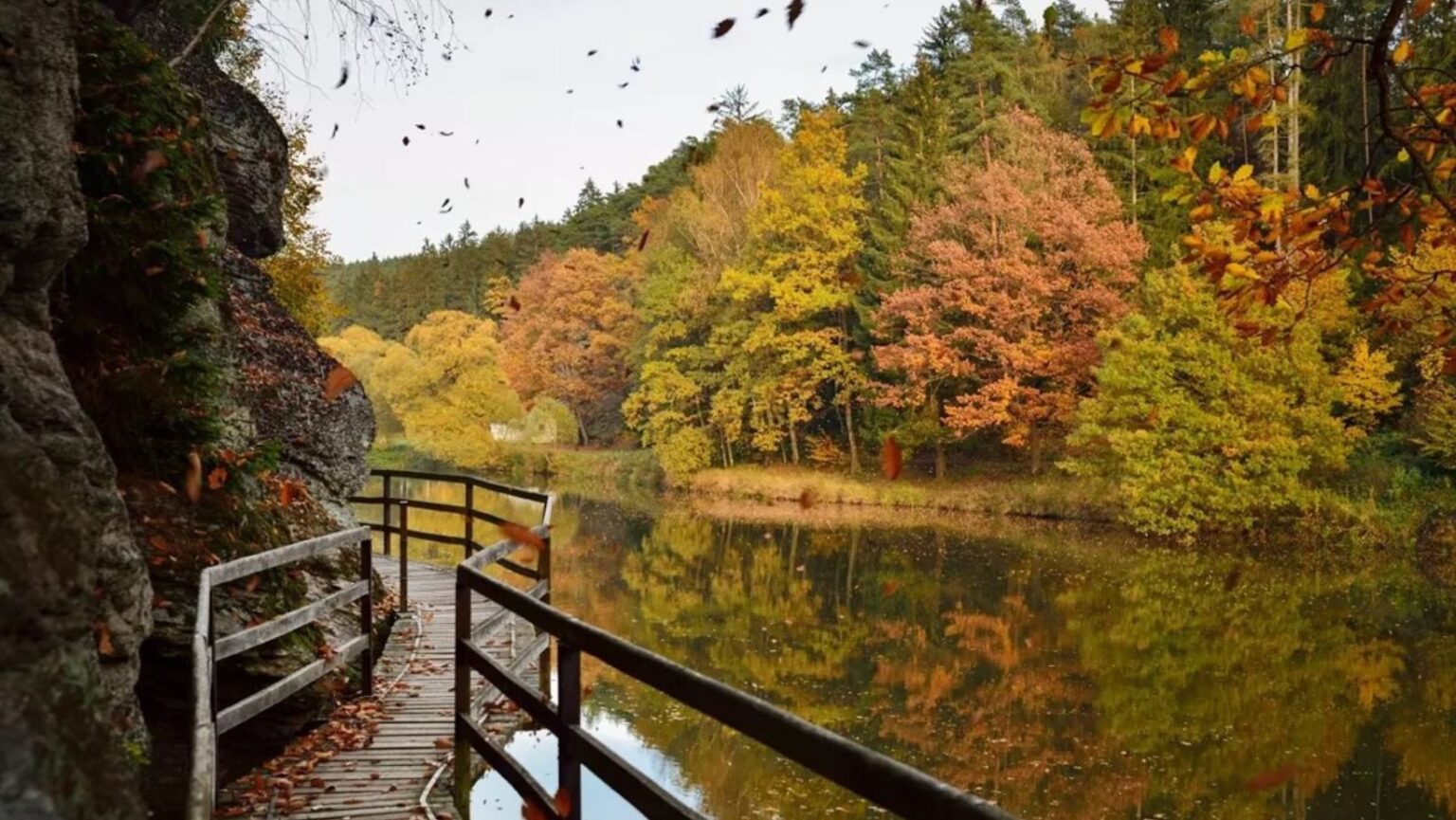5 Tips for Autumn Walks in the Czech Countryside - Prague Morning ...